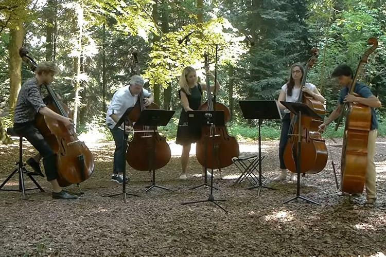 A basic guide to the Double Bass - Radio Art - The Art of Relaxing ...